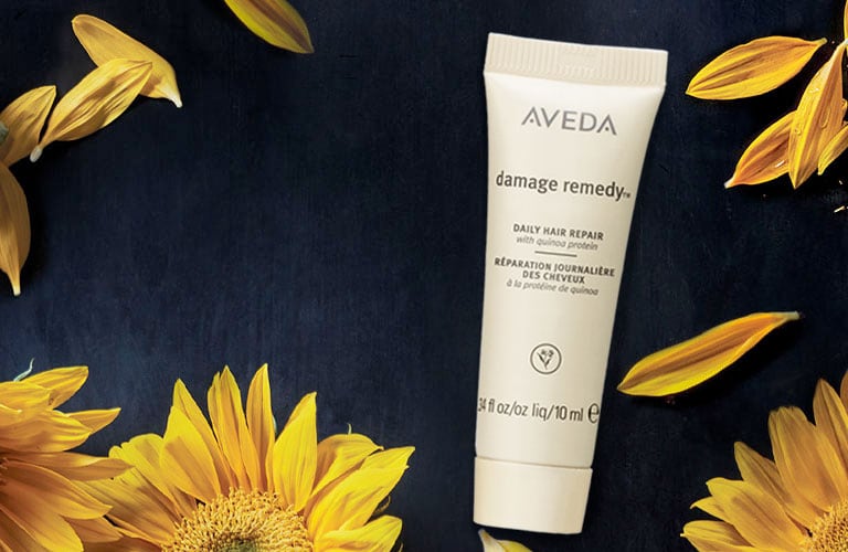 Special Offers | Free Shipping & Samples | Aveda