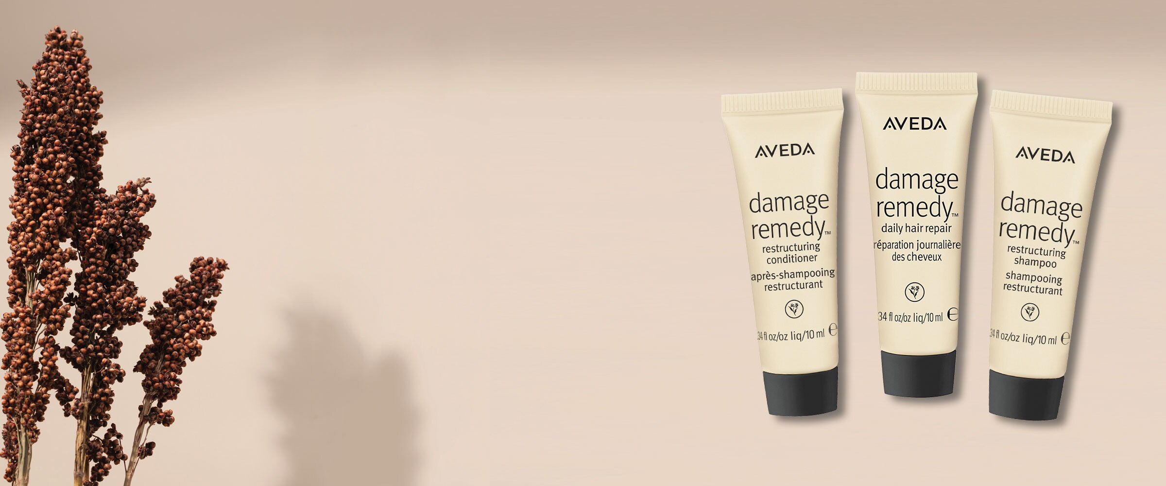 Special Offers | Free Shipping & Samples | Aveda