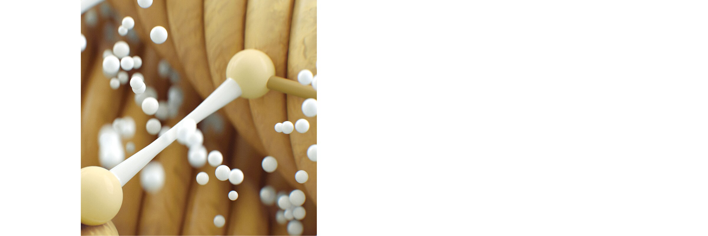 Botanical Repair Professional Treatments| Aveda