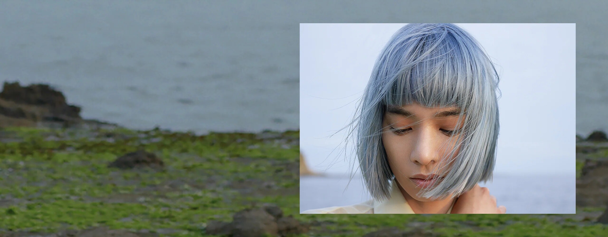 Professional Hair Colour | Hair Colour Products | Aveda